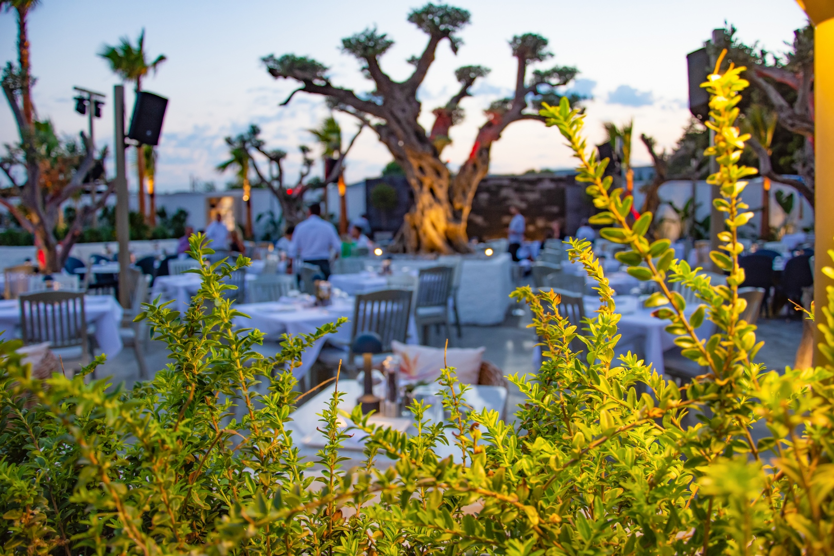 AVLU – North Piers